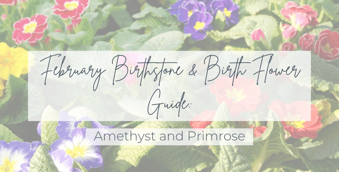 February Birthstone & Birth Flower Guide: Amethyst and Primrose | Love ...