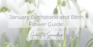 January Birthstone and Birth Flower Guide: Garnet & Carnation | Love ...