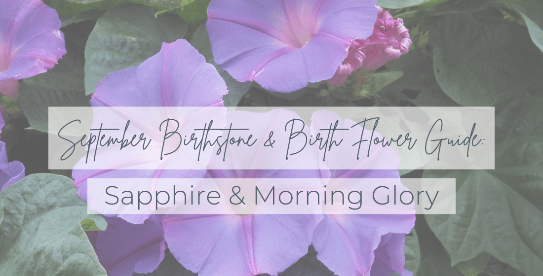 September Birthstone & Birth Flower Guide: Sapphire and Morning Glory ...